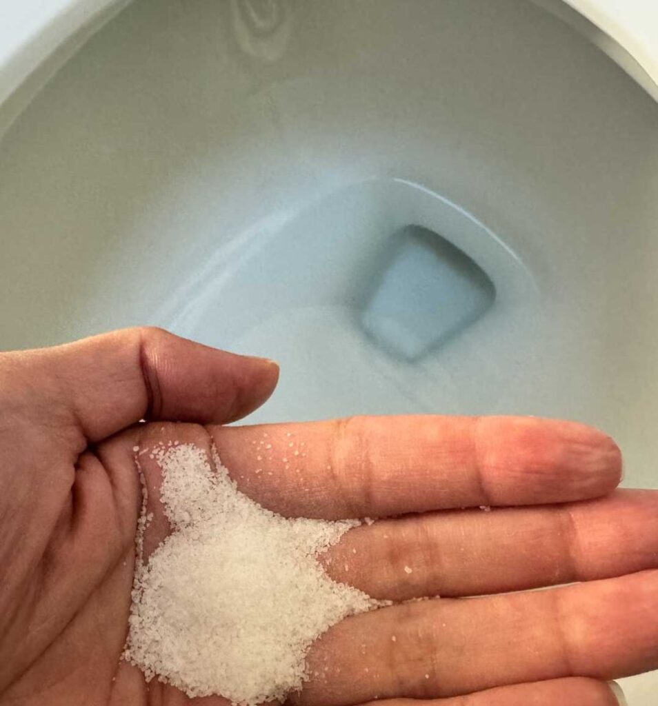 Why You Should Put Salt in Your Toilet: The Benefits and Reasons ...