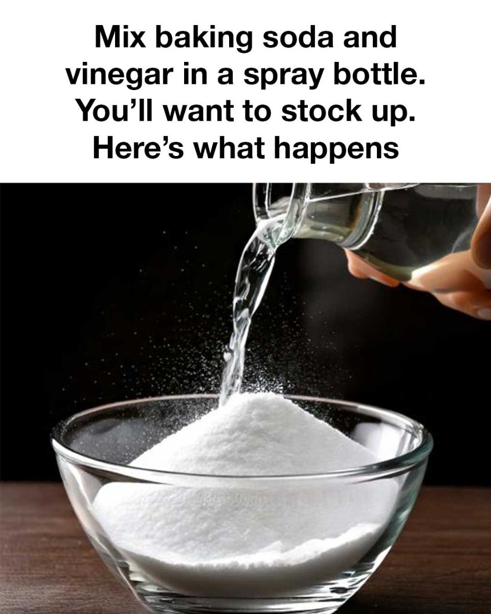 mix baking soda and vinegar in a spray bottle. you will want to stock ...